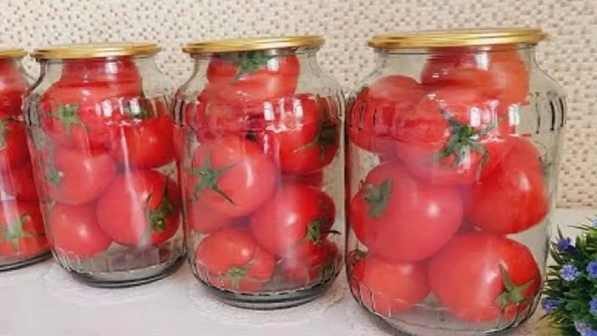 Peut-on conserver les tomates 2 ans sans utiliser d'ingrédients, juste ... Peut-on conserver les tomates 2 ans sans utiliser d'ingrédients, juste ...