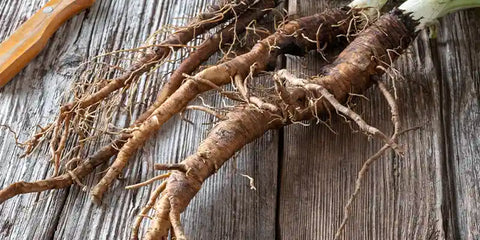 La racine de bardane : Un guide complet de ses avantages et de ses ...
